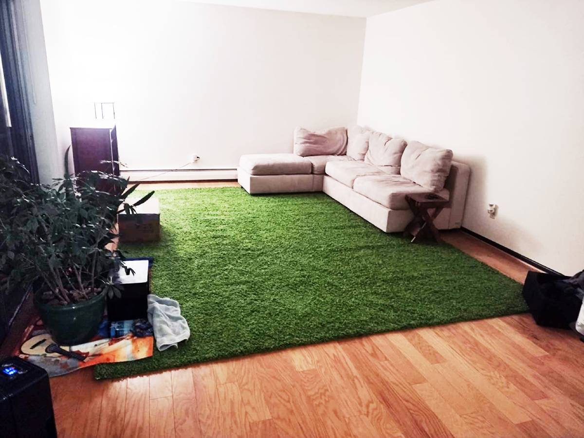 5 Green Rug That Looks Like Grass 🌳 In 2025 - (Review)